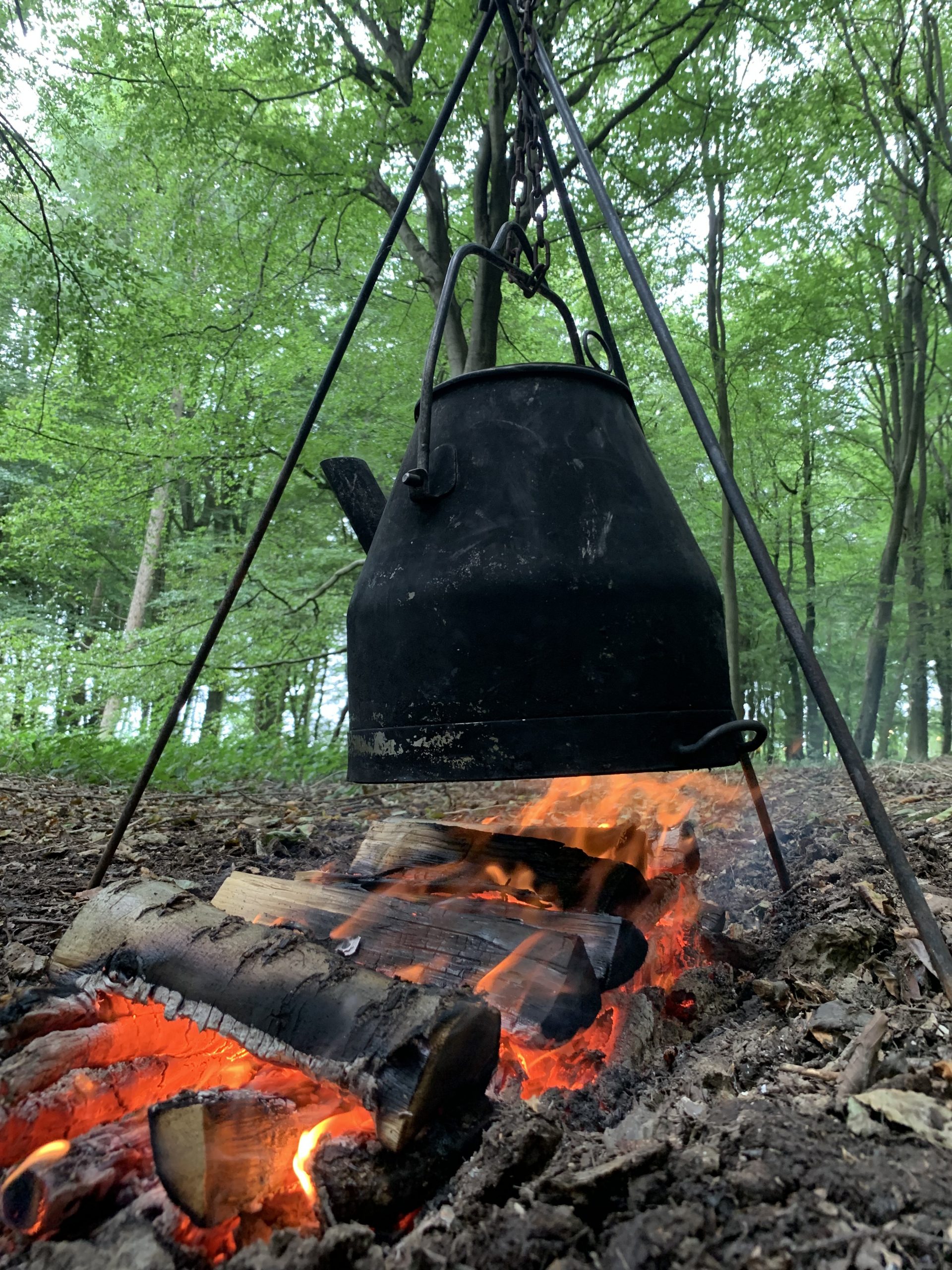 Educational Sites and Provision – WhiteTrees Independent School